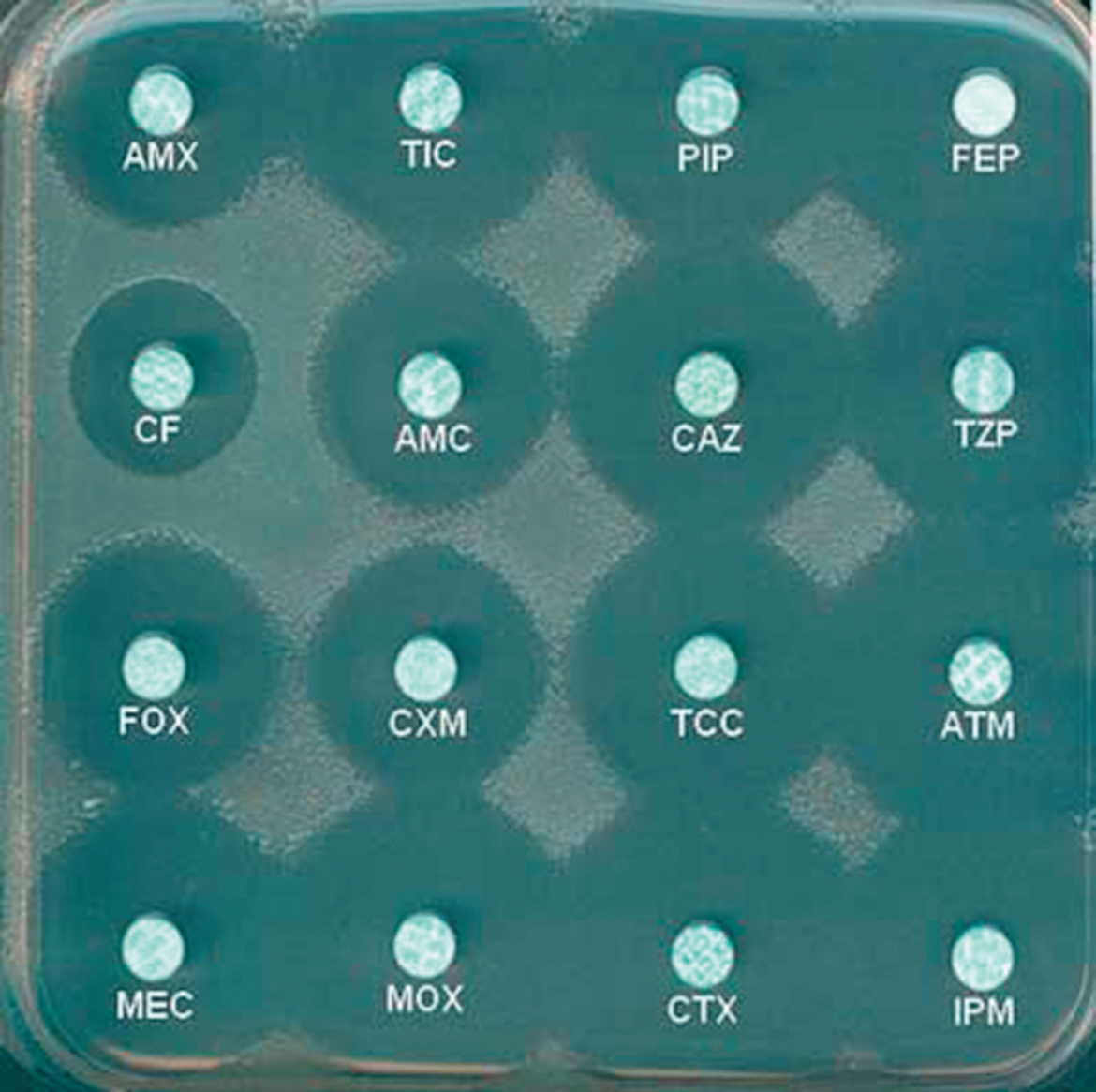 Principe de la détermination de la sensibilité et de la résistance des ...